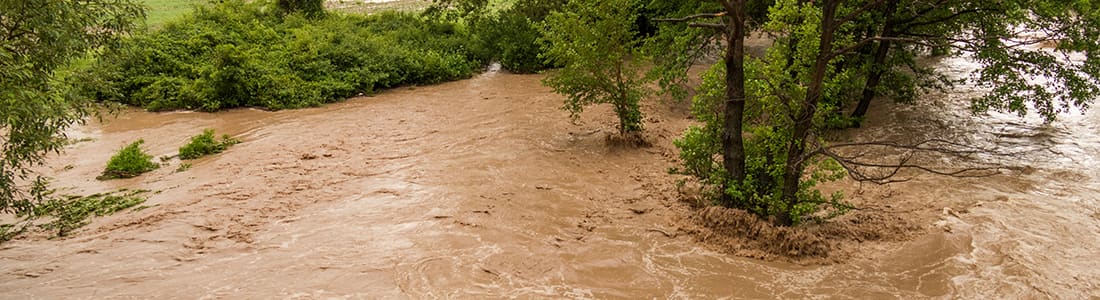 Empresa líder de seguros en España